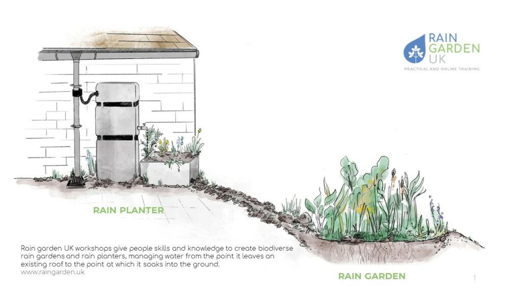 Creating a rain garden - TAP