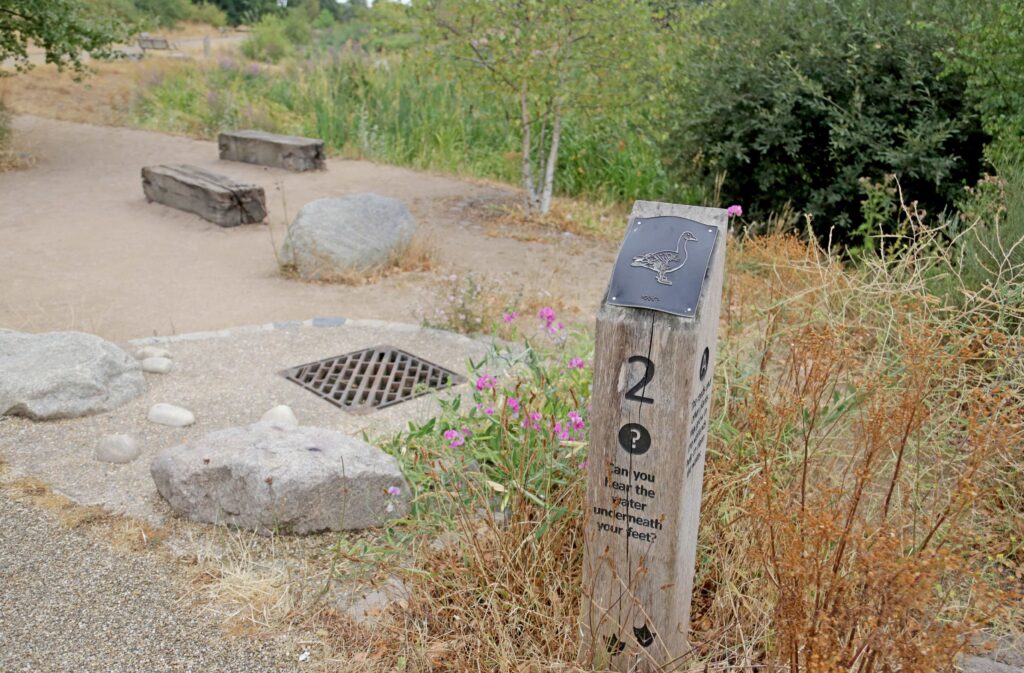 SuDS in Action! - TAP